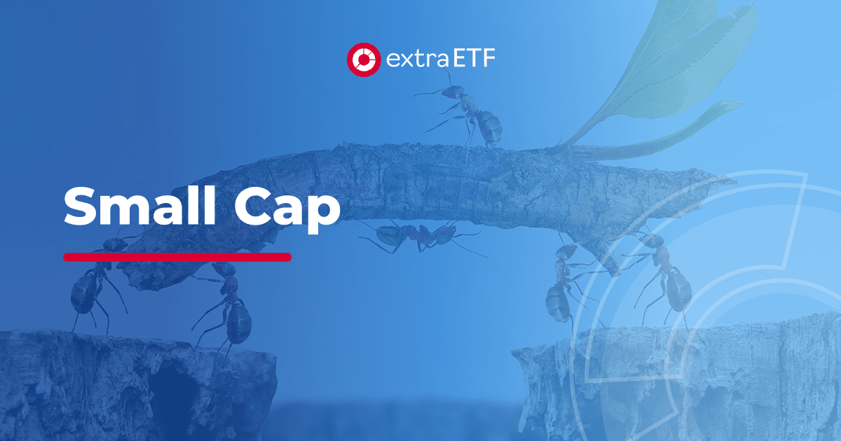 Beliebte Small Cap-ETFs 2025: Unsere Empfehlungen